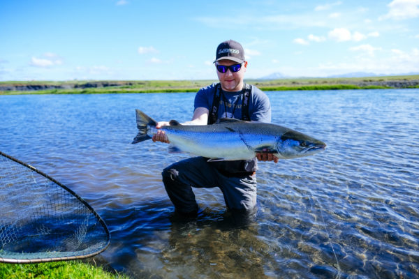 Sala í fullum gangi! - Kolskeggur